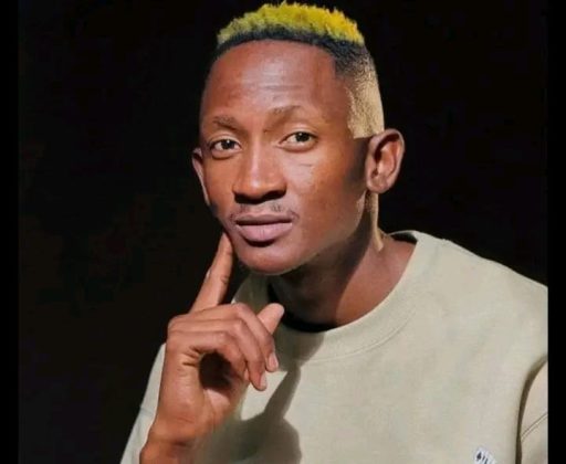 Limpopo Artists Demand Justice: Call for Action Following the Murder of ...